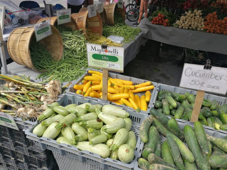 Top 9 Things to Do in Kingston, WA