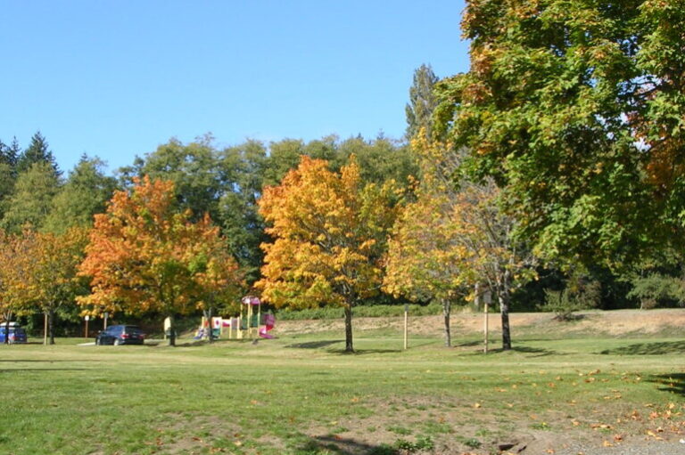 Top 9 Things to Do in Kingston, WA